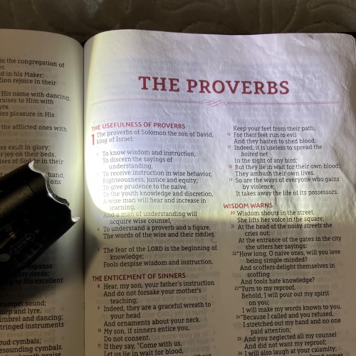 The Wisdom of Wisdom – Proverbs 1 – Lifesong Community Church